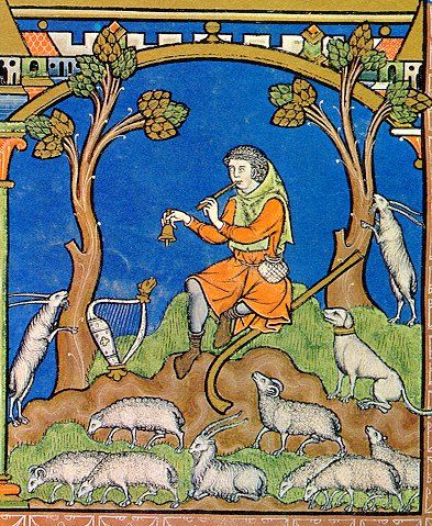 Paper: "Making a living as a shepherd in Medieval Valencia"